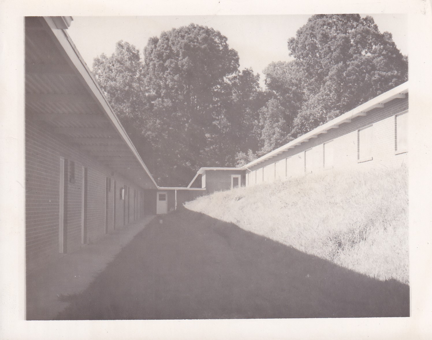 Lawton Hall – From These Roots